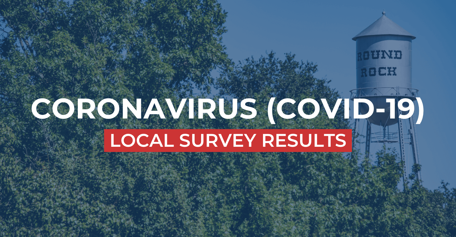 Local COVID-19 response survey: what we heard, what we're doing - City ...