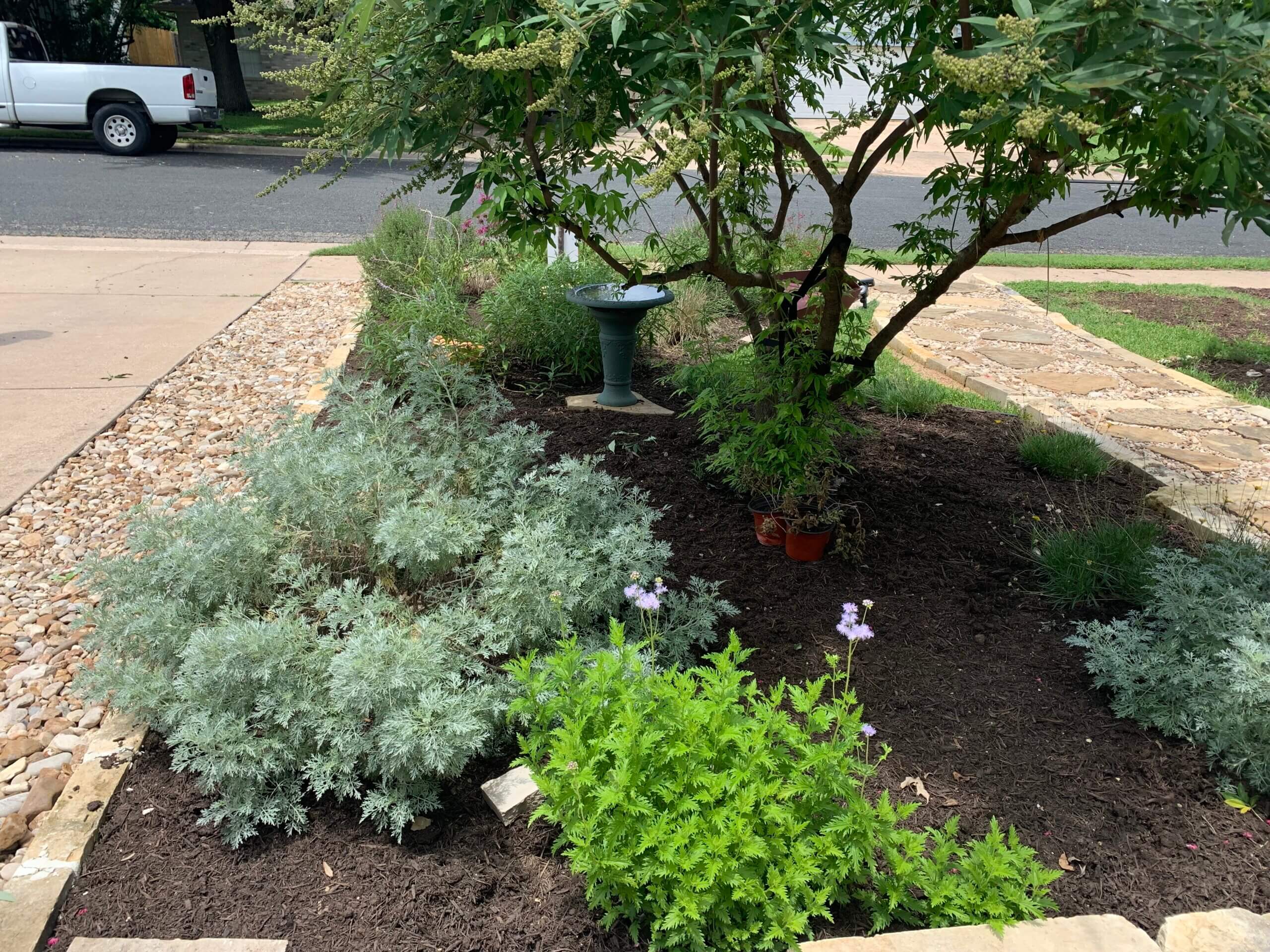 Balanced Landscaping: Using Rocks Wisely - City of Round Rock