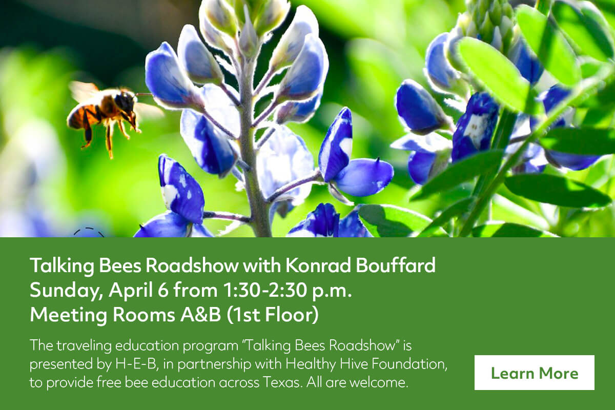 Library - City of Round Rock